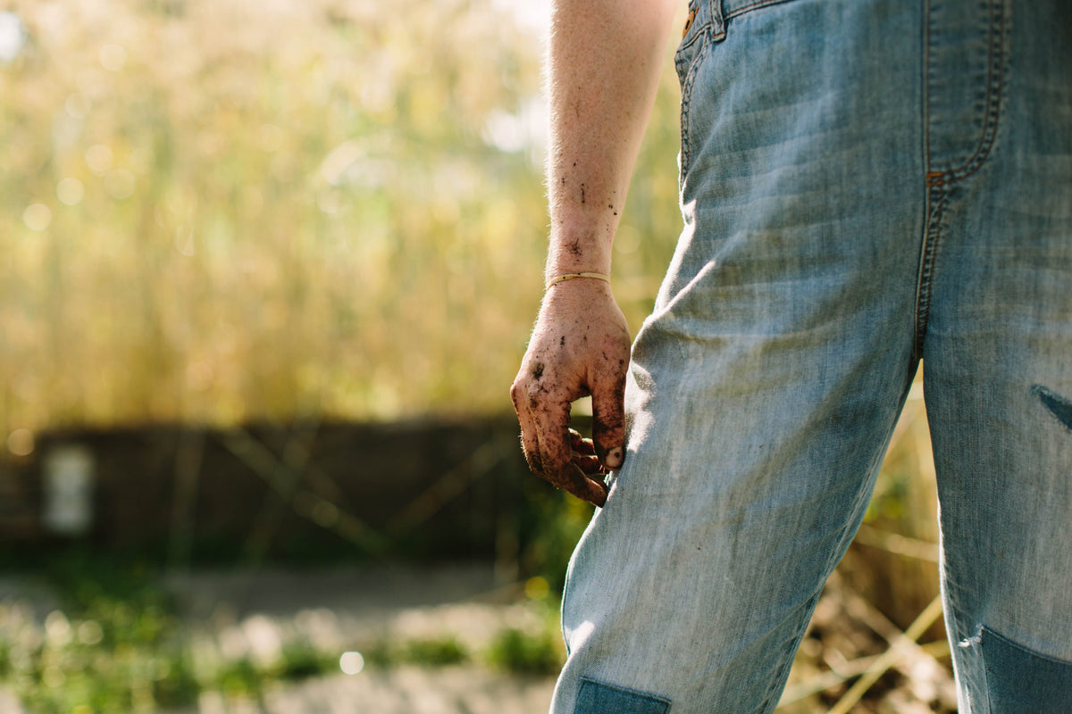 Does Biodynamic Food Mean Healthy? – Foxhollow Farm