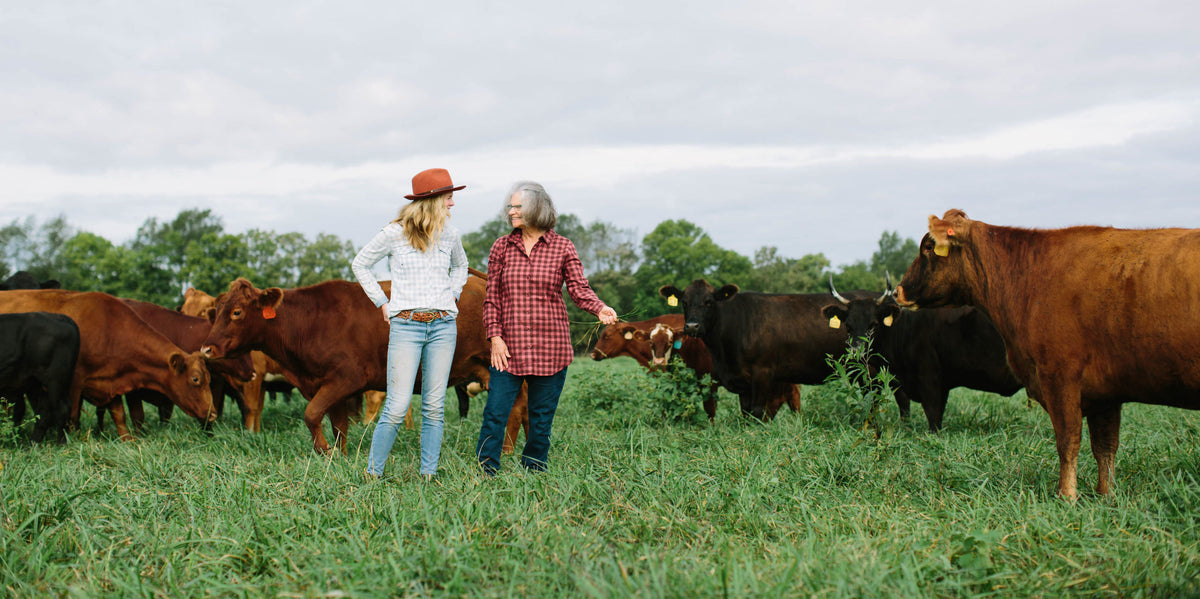 My First Beef Bundle Experience – Foxhollow Farm