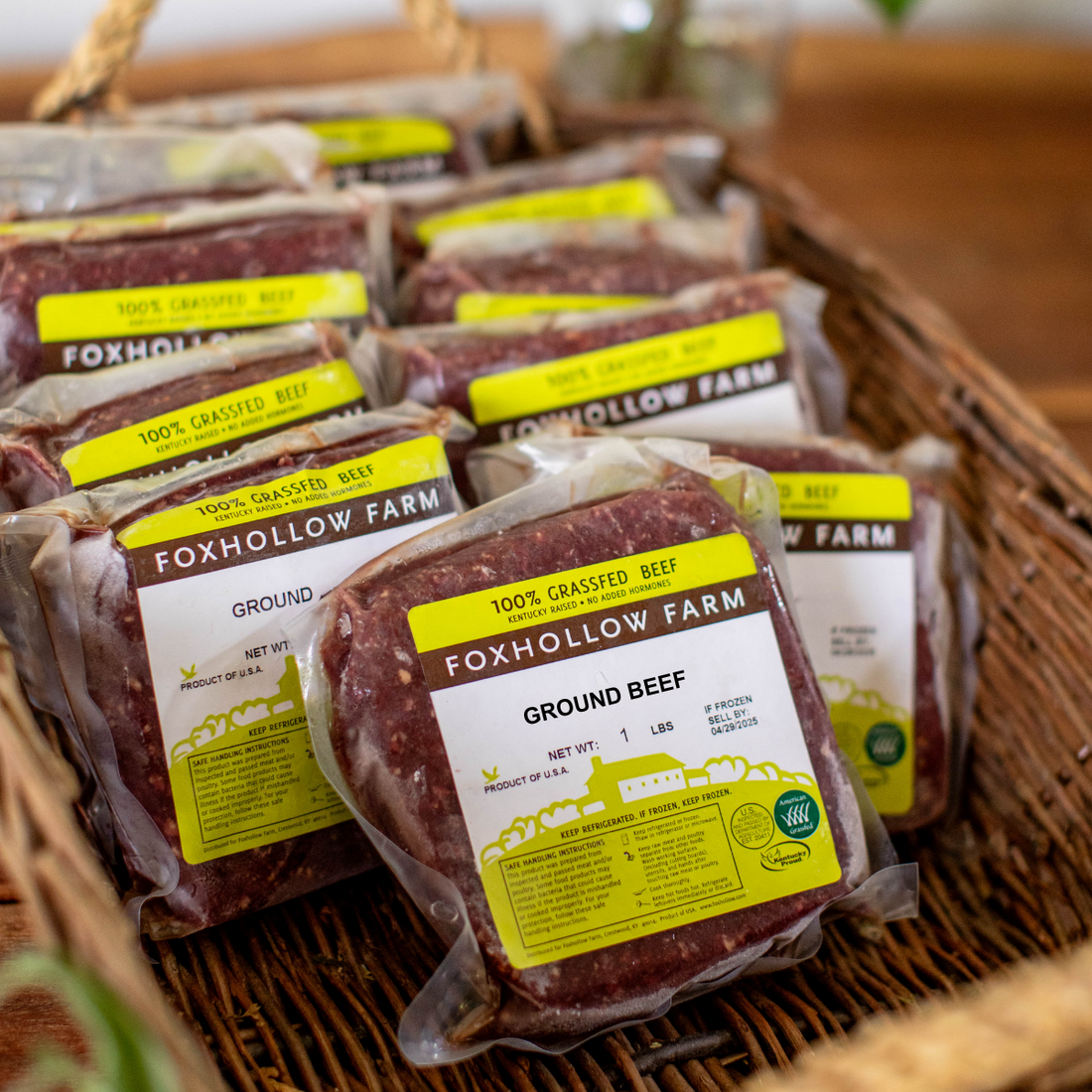100% Grass Fed Beef | Sustainable Farming | Foxhollow Farm