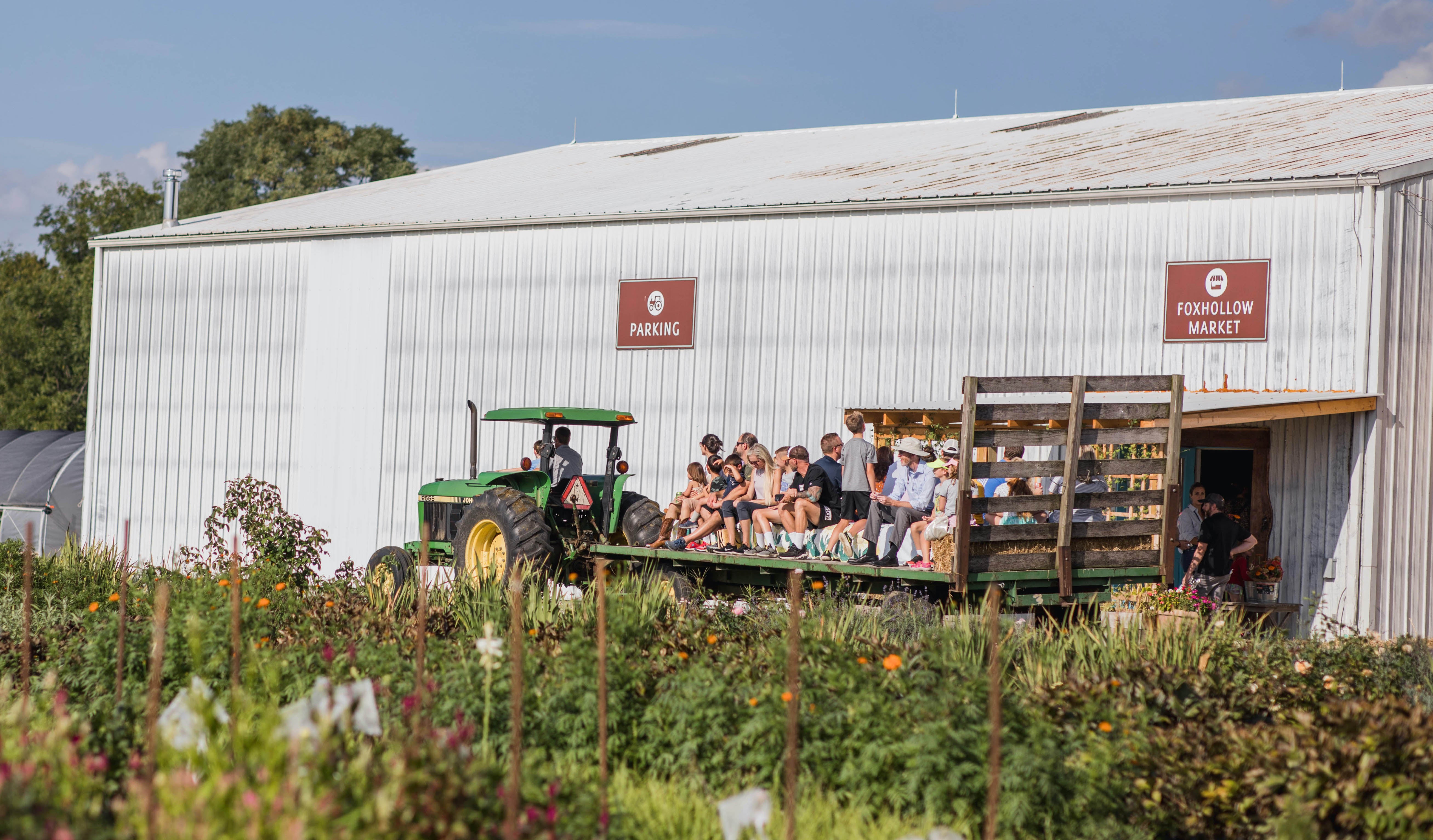 100% Grass Fed Beef | Sustainable Farming | Foxhollow Farm